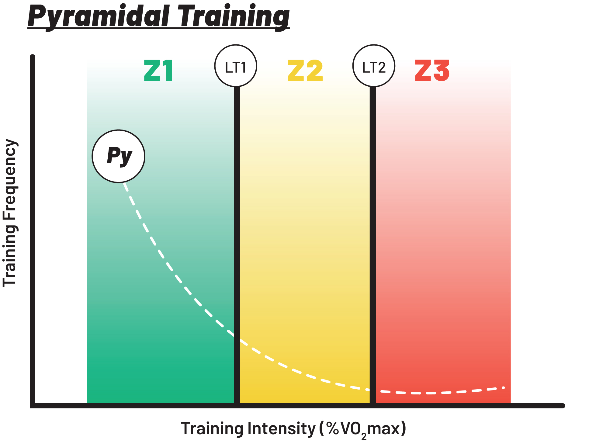 Polarized Training vs. Sweet Spot and Pyramidal