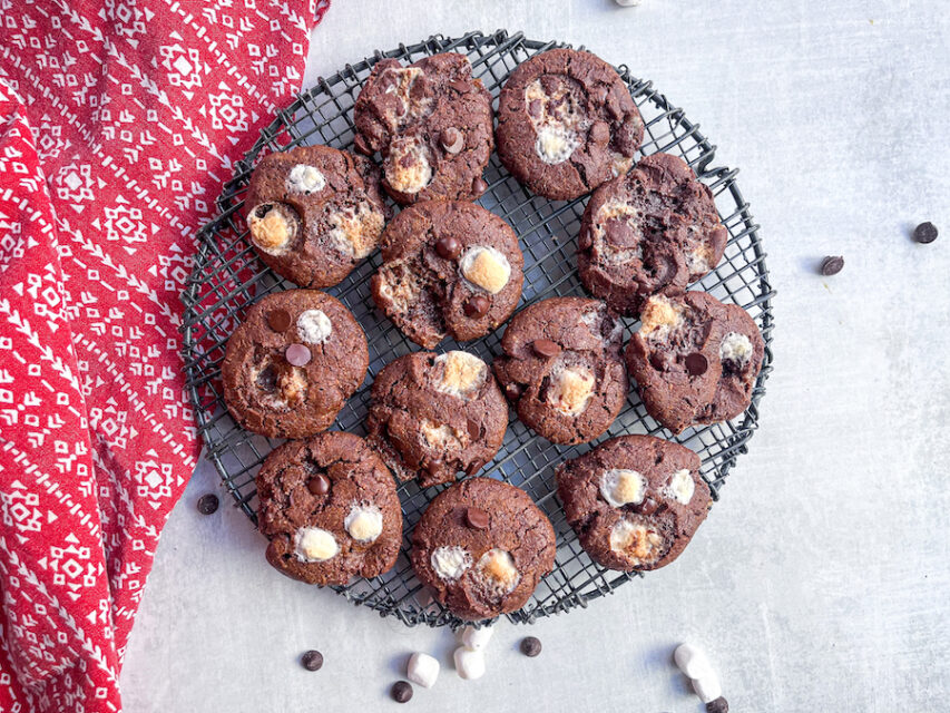 Holiday Fuel On the Go Hot Cacao Cookies Fast Talk Laboratories