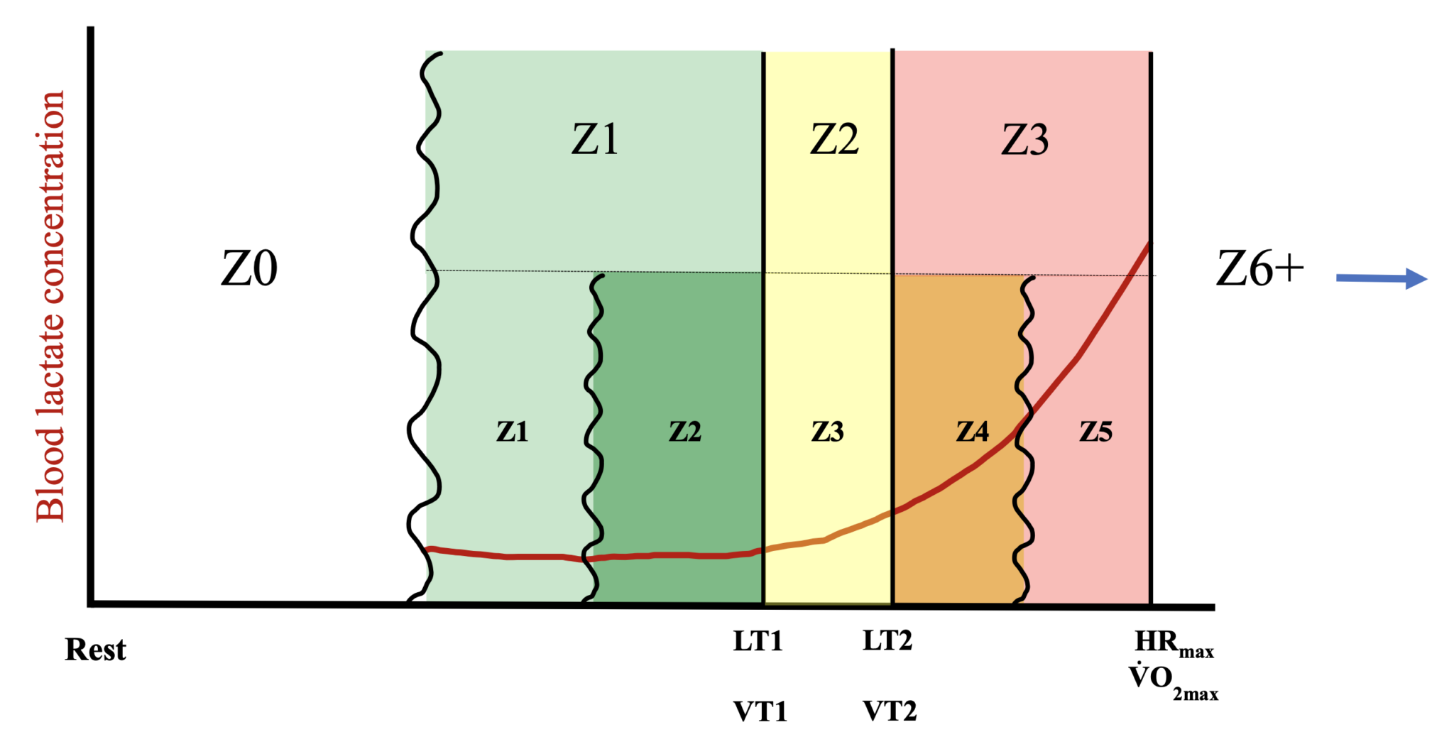 Dr. Seiler's 12 Training Truths for Endurance Development - Fast Talk ...